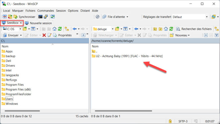 Seedbox avec Swizzin : guide simple + démo Deluge