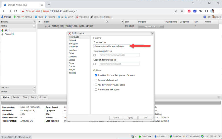 Seedbox avec Swizzin : guide simple + démo Deluge