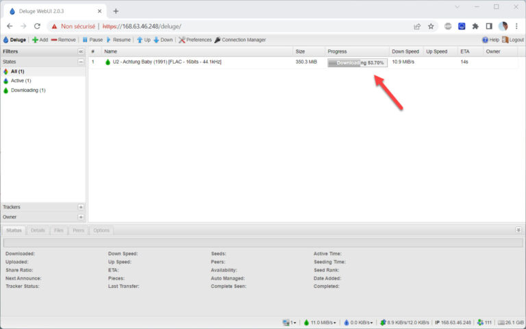 Seedbox avec Swizzin : guide simple + démo Deluge