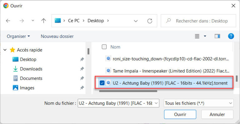 Seedbox avec Swizzin : guide simple + démo Deluge
