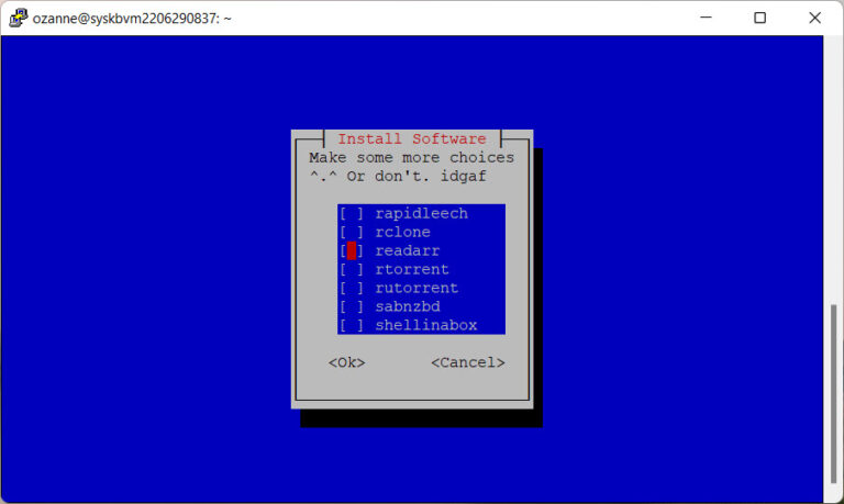 Seedbox avec Swizzin : guide simple + démo Deluge