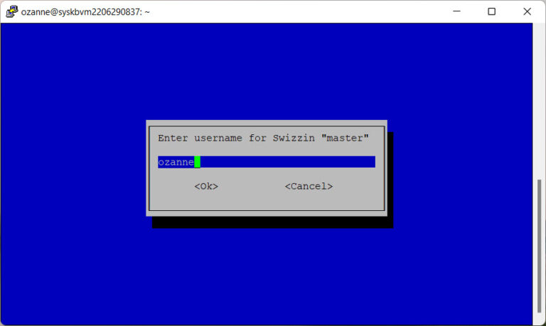 Seedbox avec Swizzin : guide simple + démo Deluge